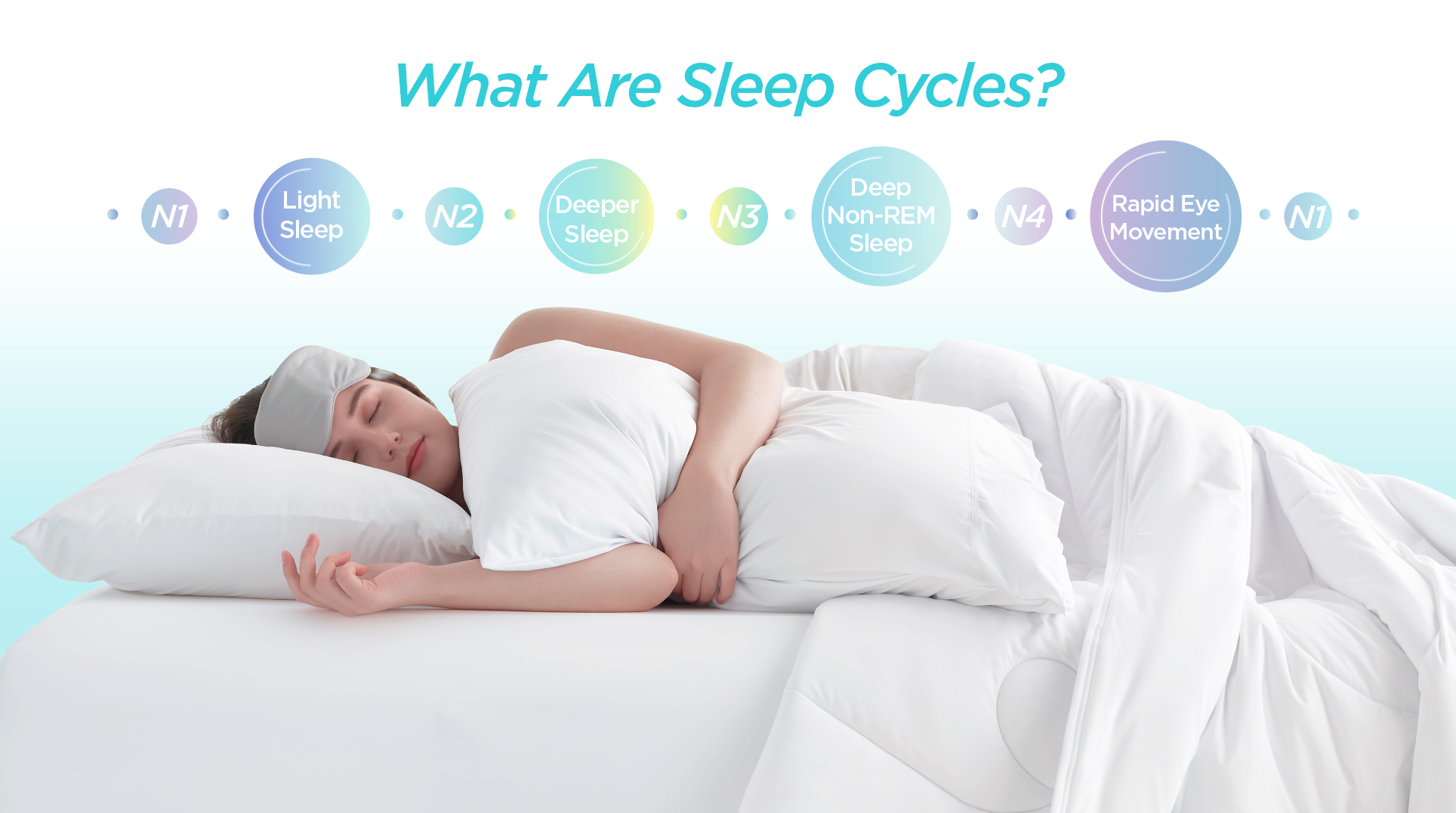 Understanding Your Sleep Cycle – Breescape